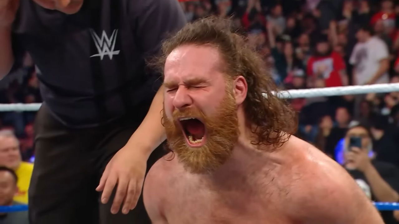 WWE Saturday Night's Main Event XLIII Picture 3