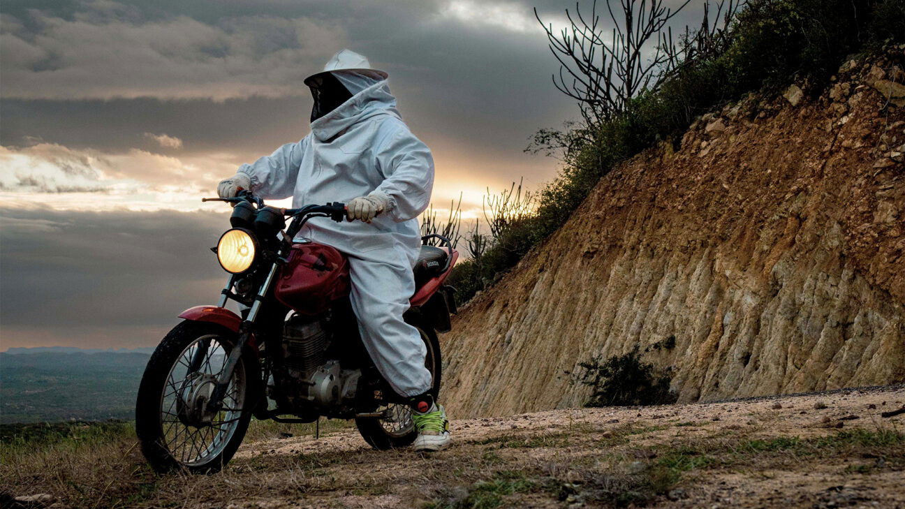 Yellow Cake (2026) - Movie Stills & Photos | AceShowbiz