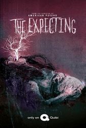 Expecting, The TV Series/TV Shows, All info: news, summary, synopsis ...