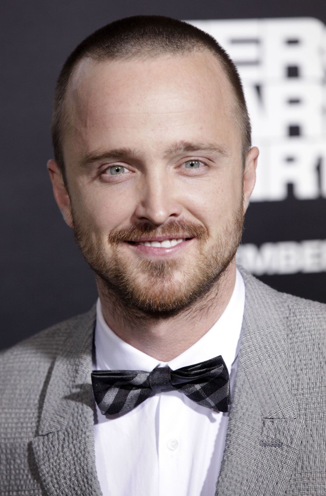 aaron paul Picture 1 - Los Angeles Premiere of Columbia Pictures' Zero ...