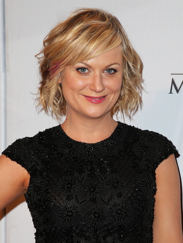 Amy Poehler Picture 112 - 2013 Vanity Fair Oscar Party - Arrivals