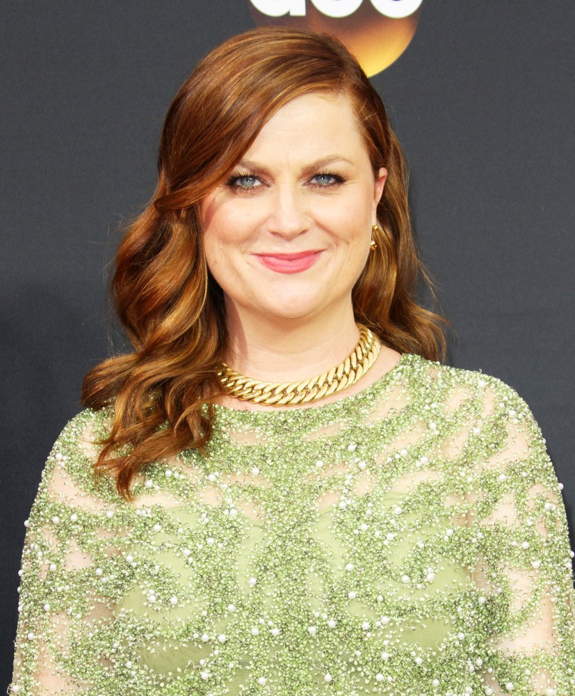 amy-poehler Picture 1 - 68th Emmy Awards - Arrivals