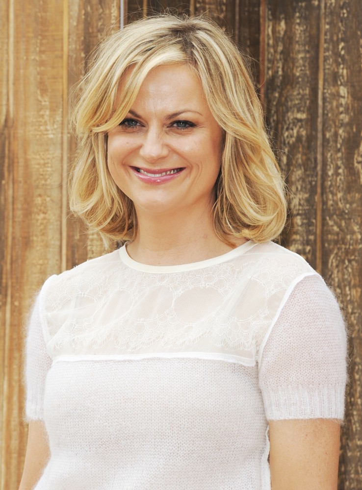 amy-poehler Picture 1 - World Premiere of Free Birds