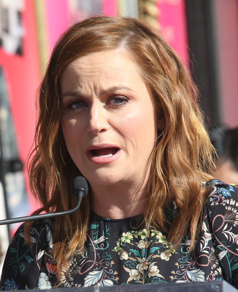 Amy Poehler Picture 200 - Amy Poehler Honored with A Star on The ...