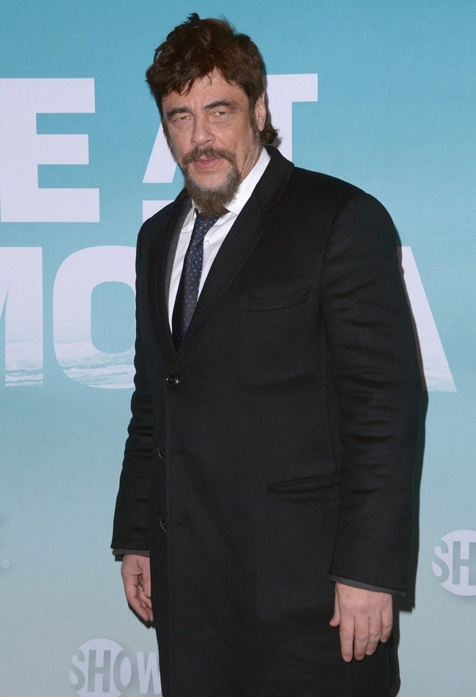 Benicio Del Toro Pictures, Latest News, Videos.