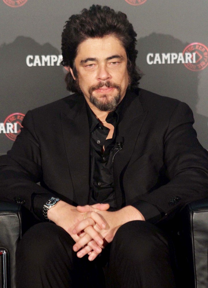 Benicio Del Toro Picture 19 - 2010 Cannes International Film Festival ...