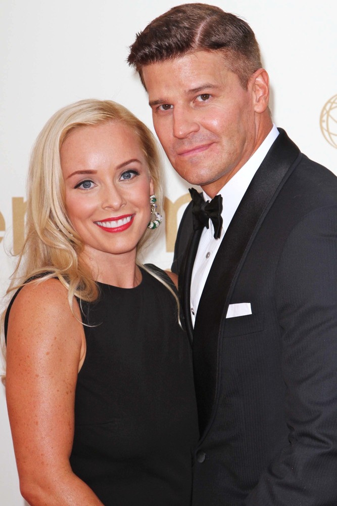 Jaime Bergman Picture 1 - The 63rd Primetime Emmy Awards - Arrivals