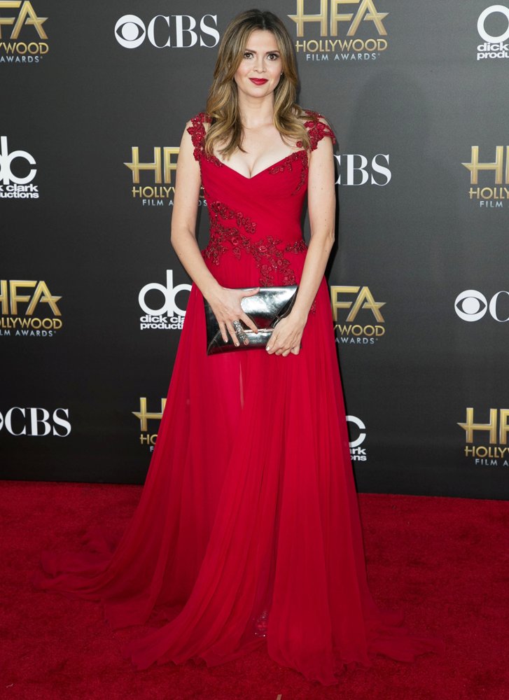 carly-steel Picture 1 - 2014 Hollywood Film Awards - Arrivals