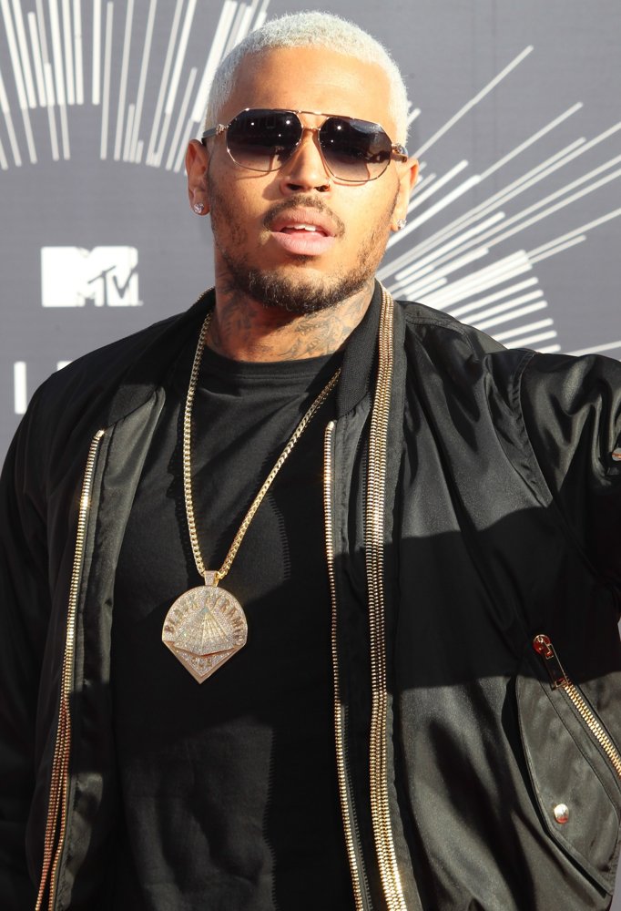 Chris Brown Picture 1 - 2014 MTV Video Music Awards - Arrivals