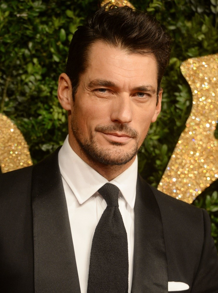 David Gandy Picture 1 - The British Fashion Awards 2015 - Arrivals