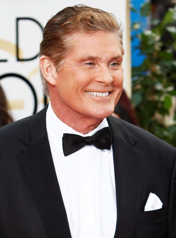 David Hasselhoff Picture 174 - 73rd Annual Golden Globe Awards - Arrivals
