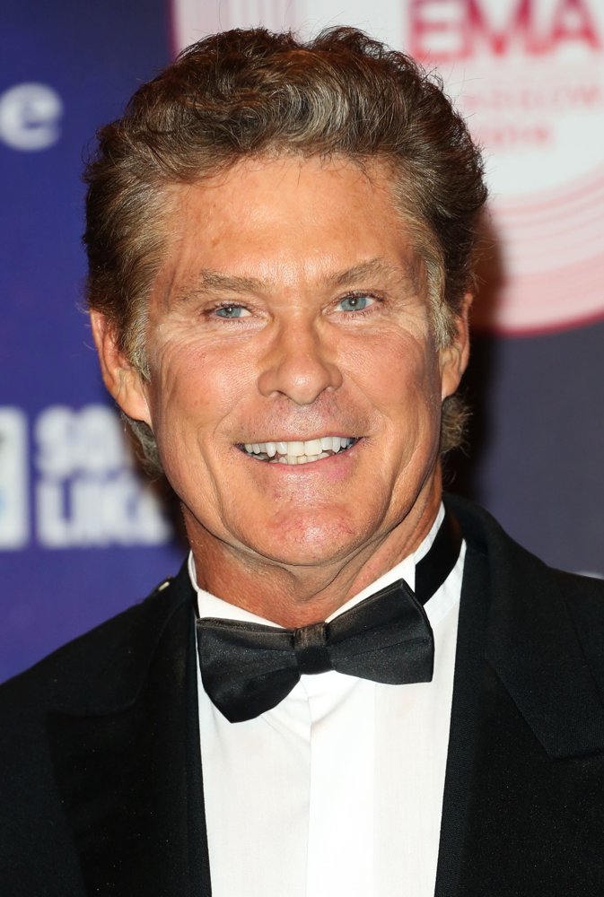 David Hasselhoff 2014
