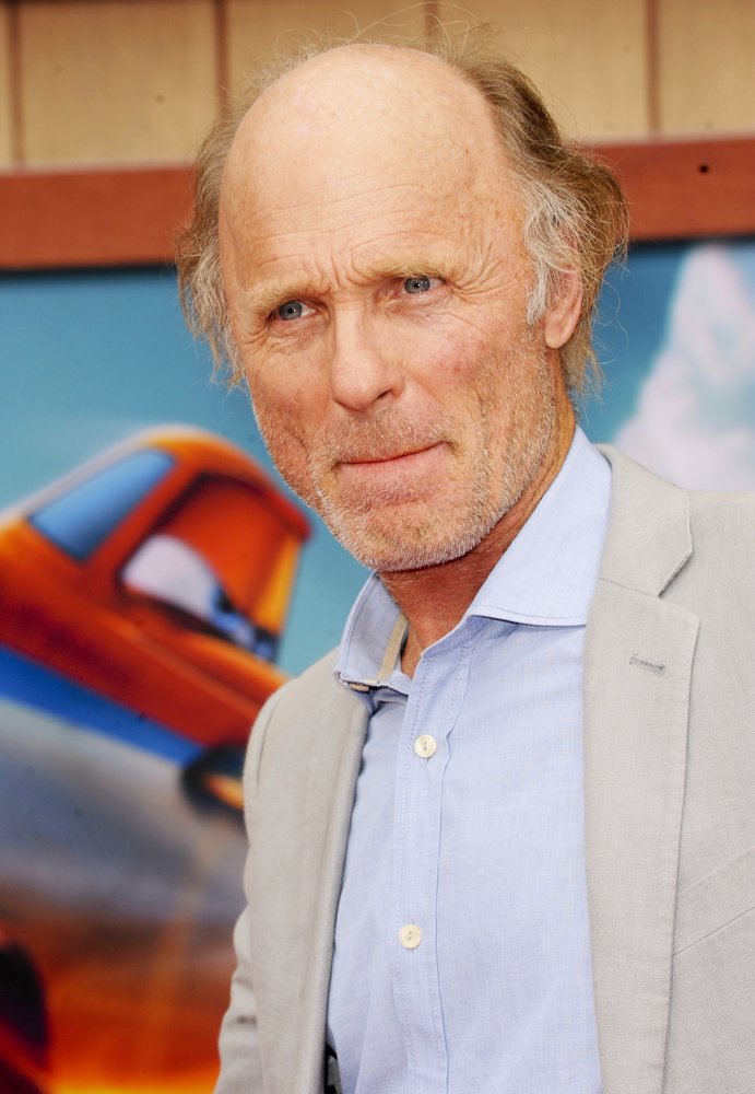 Film Premiere Planes: Fire and Rescue - Picture 1