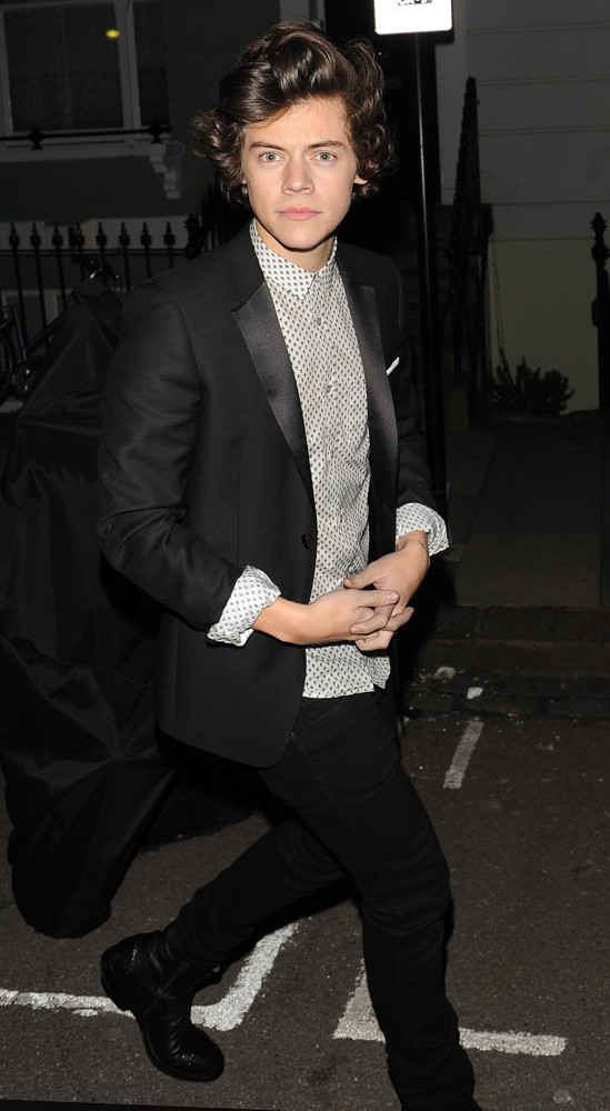 Harry Styles Picture 86 - Wax Figures of One Direction Revealed