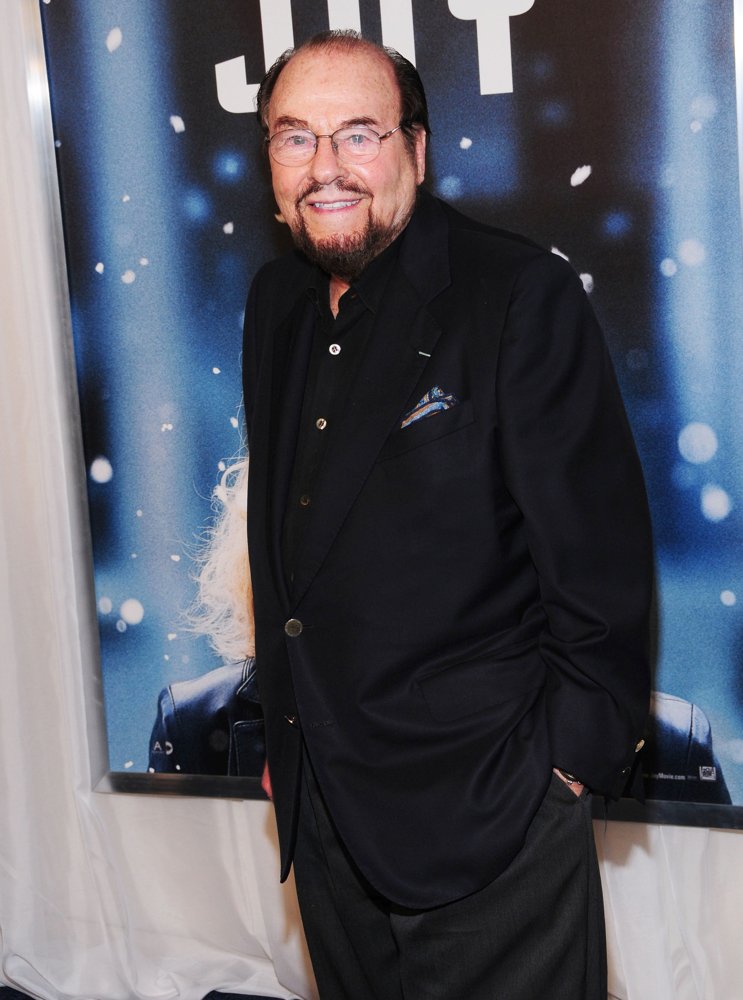 New York Premiere of Joy - Red Carpet Arrivals - Picture 1