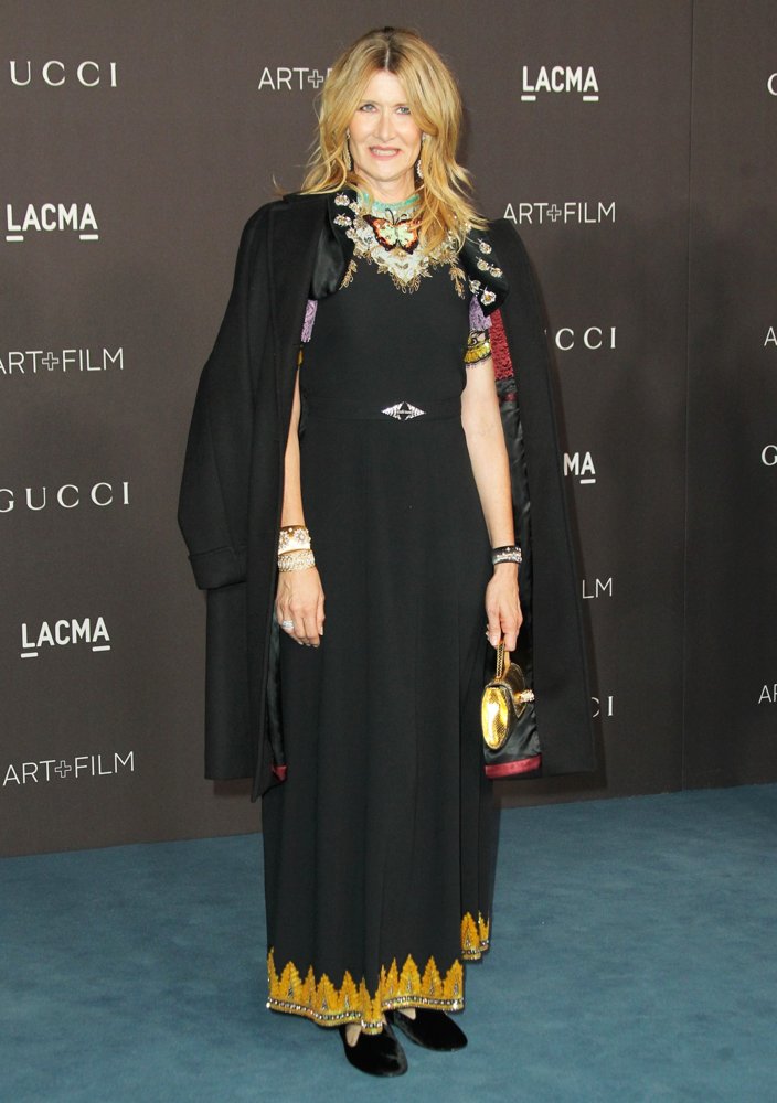laura-dern Picture 1 - 2019 LACMA Art + Film Gala - Arrivals