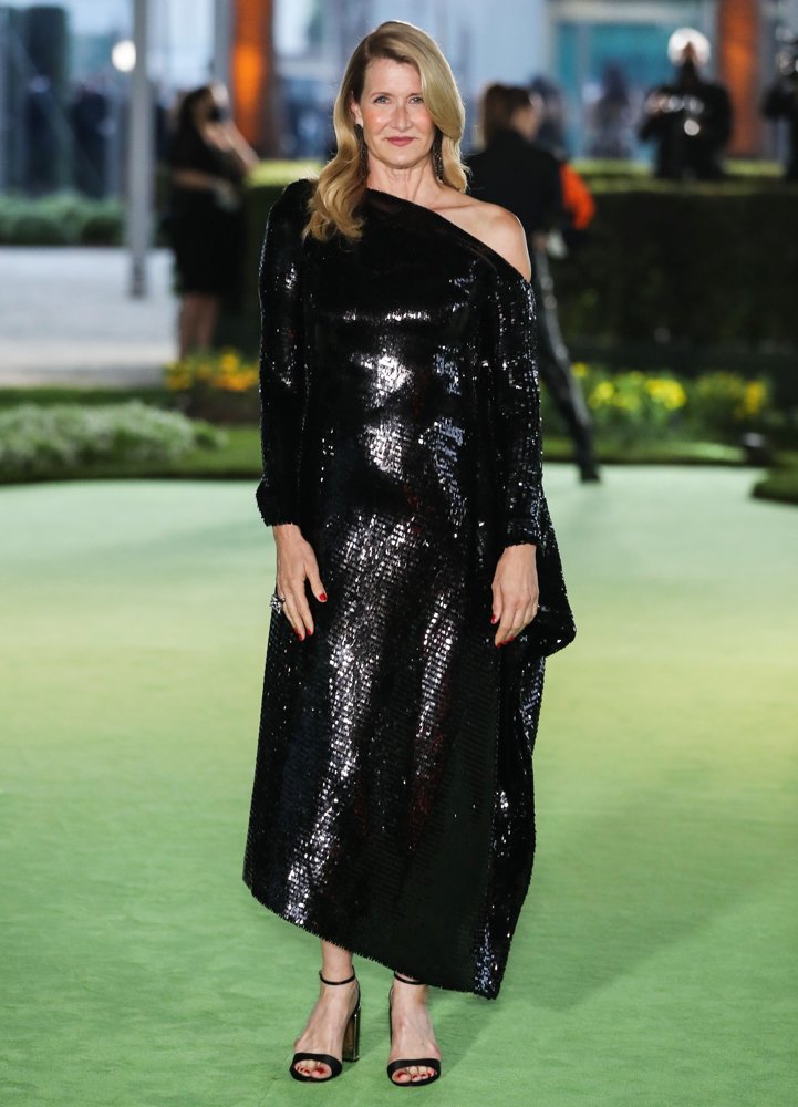 Laura Dern Pictures, Latest News, Videos.