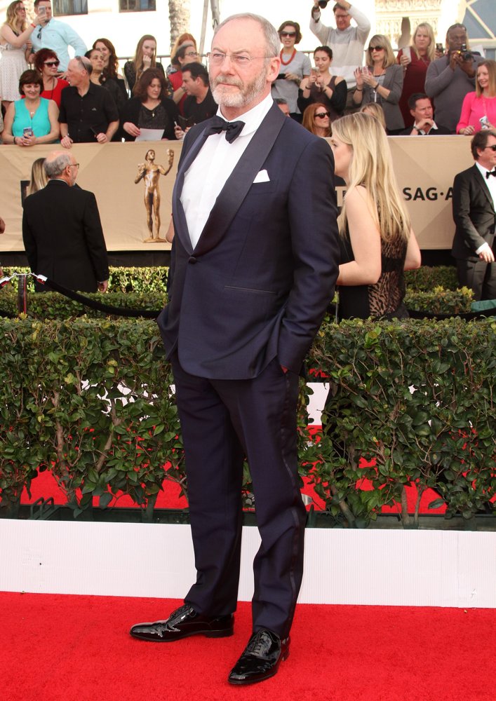 Liam Cunningham; 23rd Annual Screen Actors Guild Awards - Arrivals