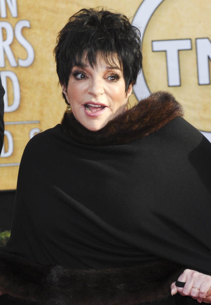 Liza Minnelli Picture 31 - 40th Anniversary Chaplin Award Gala Honoring ...
