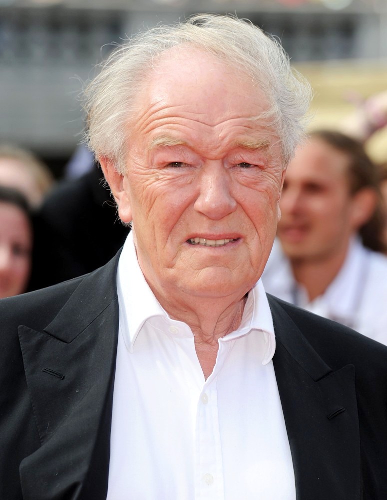Michael Gambon Picture 1 - Harry Potter and the Deathly Hallows Part II ...