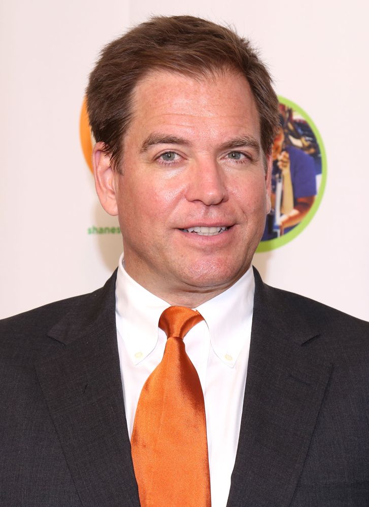 Michael Weatherly Pictures, Latest News, Videos.
