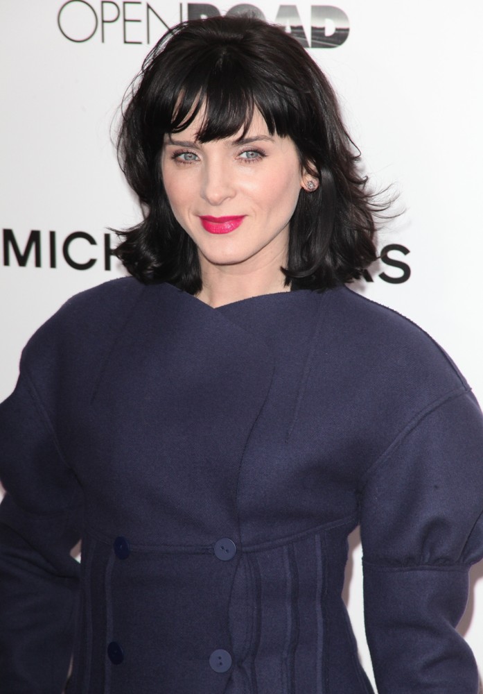 Michele Hicks Picture 1 - New York Premiere of Side Effects