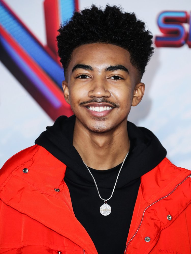 Miles Brown Picture 1 - Los Angeles Premiere of Columbia Pictures ...