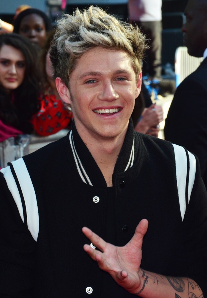 Niall Horan Picture 38 - Wax Figures of One Direction Revealed