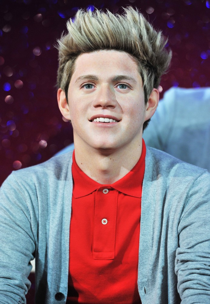 Niall Horan Picture 1 - Wax Figures of One Direction Revealed