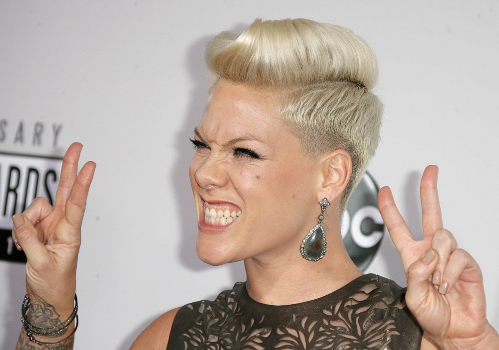 Pink Picture 1 - The 40th Anniversary American Music Awards - Arrivals