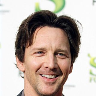 Shrek Forever After (2010) Premiere Photo Gallery and Red Carpet ...