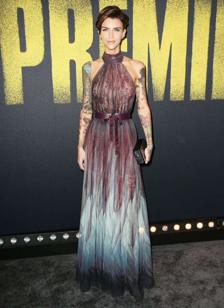 Premiere of Universal Pictures' Pitch Perfect 3 - Arrivals - Picture 1