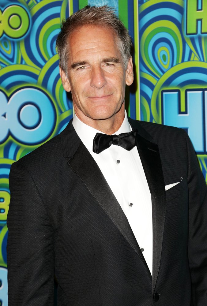 Scott Bakula 2017