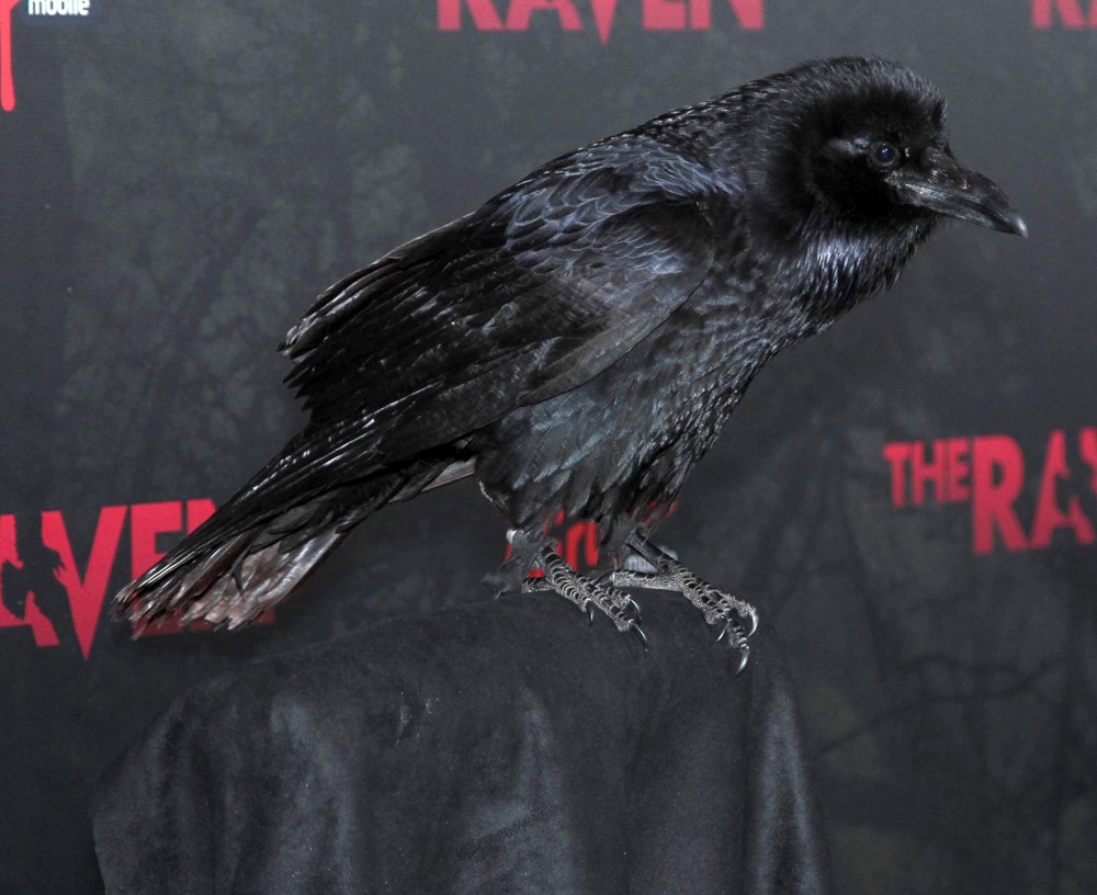 Special Screening of Relativity Media's The Raven - Arrivals - Picture 3