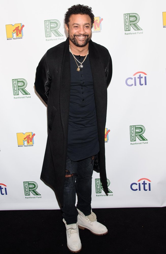 Shaggy Pictures with High Quality Photos