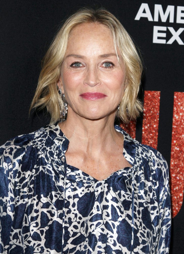 Sharon Stone Picture 1 - The Premiere of Judy