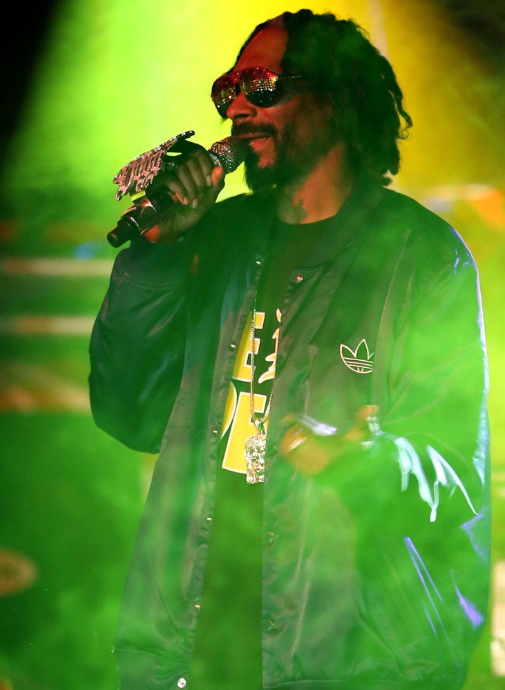 Snoop Dogg Picture 1 - Snoop Dogg Performing Live in Concert